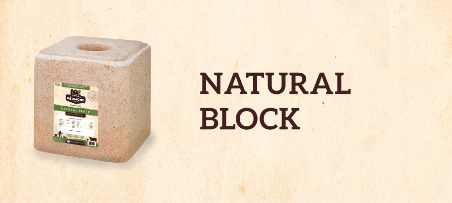 Redmond Natural Mineral Salt Block – Eco Farm Taranaki